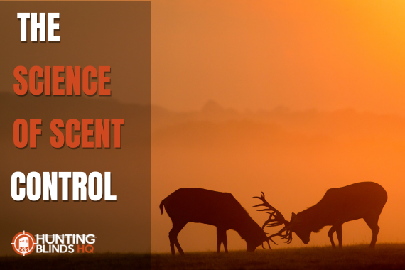 Science of Scent Control in Hunting Blinds